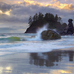 Visit Humboldt – California's Redwood Coast
