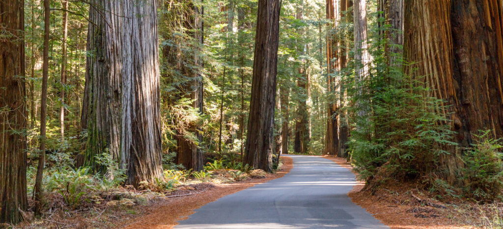 Activities – Visit Humboldt