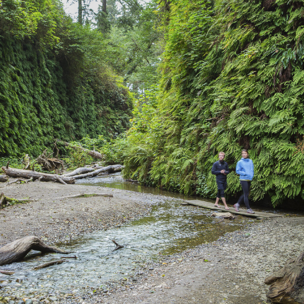 Redwood National Park – Visit Humboldt