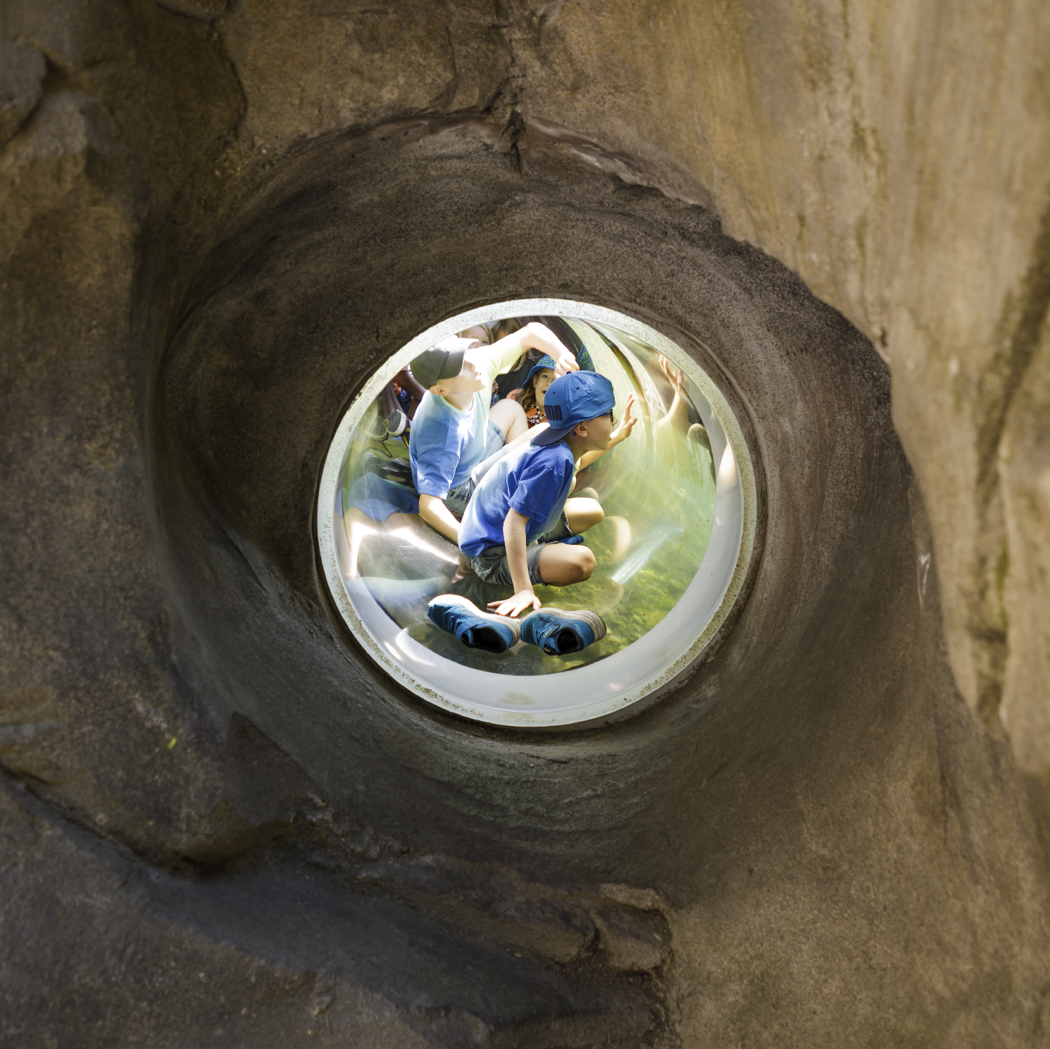 Eureka & Humboldt Bay – Visit Humboldt