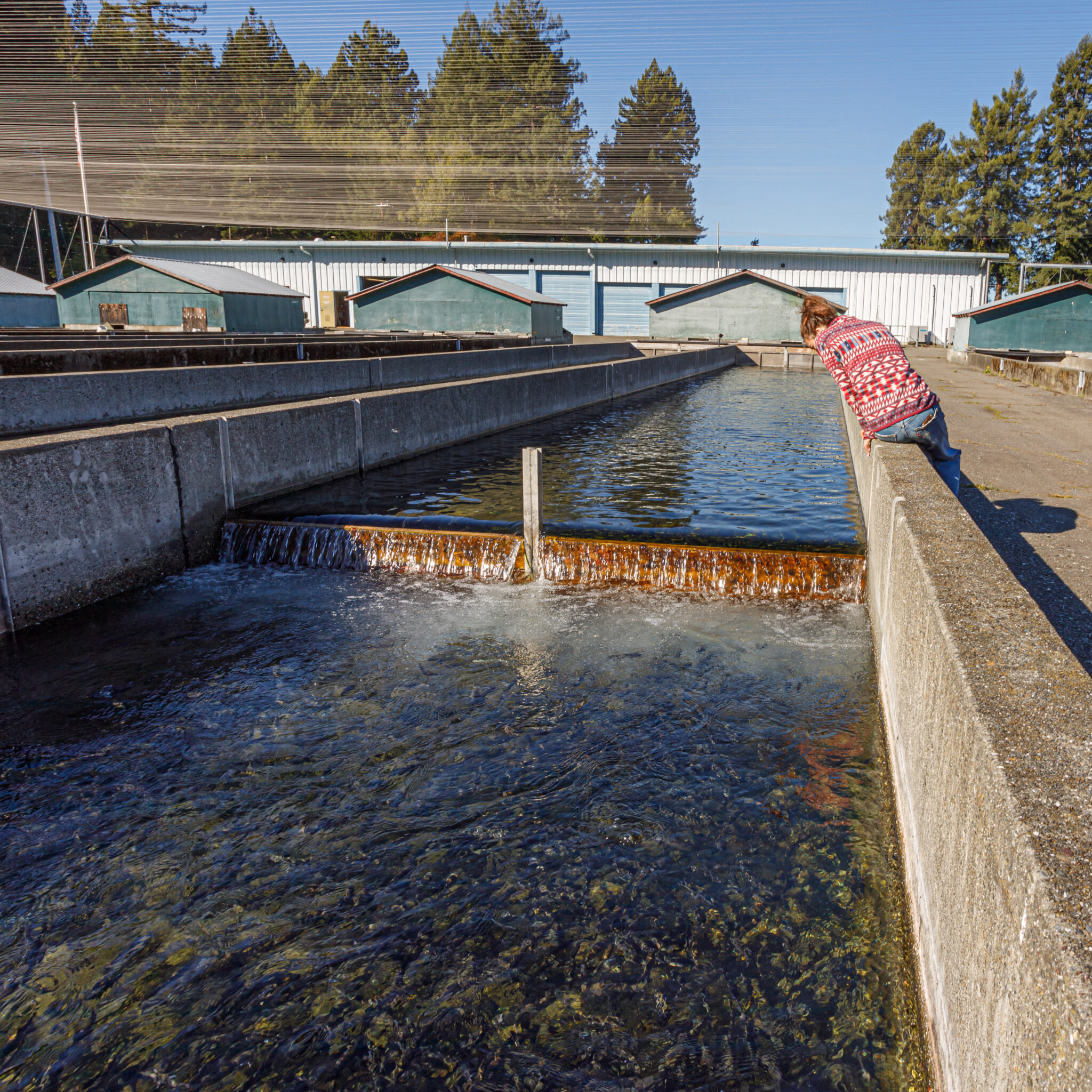 Arcata – Visit Humboldt
